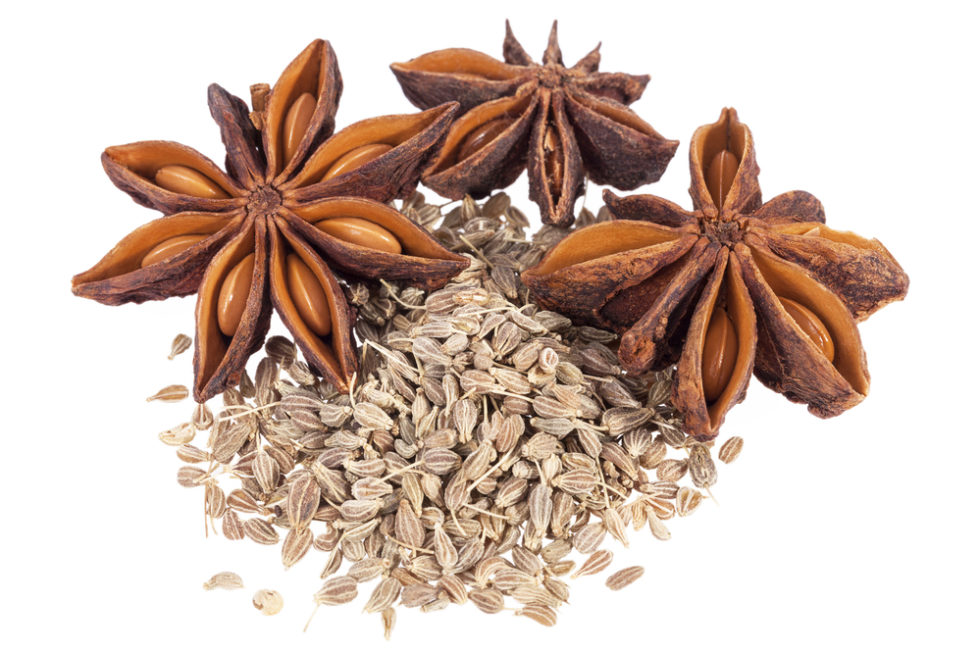 Anijs zaad en steranijs, beide anders maar beide gezond en lekker