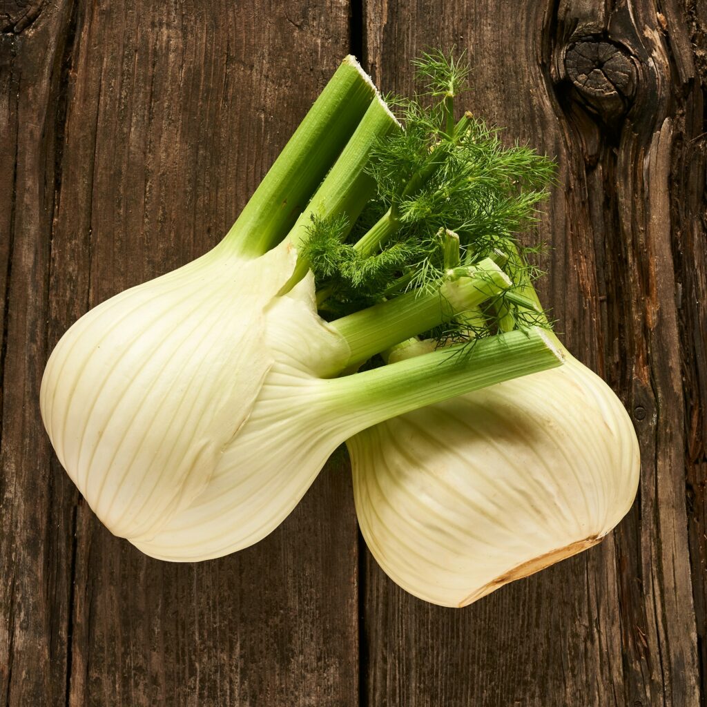 Venkel: (te) weinig gebruikt… 14 redenen om het vaker te eten!